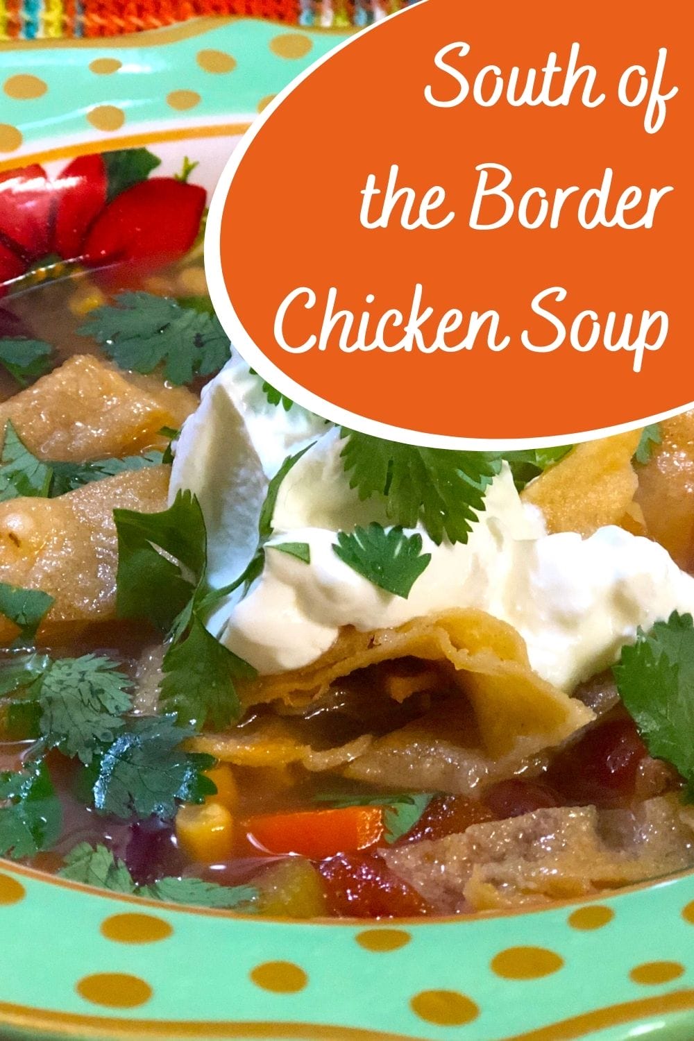 Best South of the Border Chicken Soup Recipe | Oldtimeknowledge
